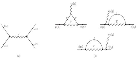 Feynman diagrams that represent the decays a B s l i l j and b µ Download Scientific