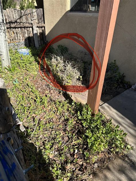 Need Tips For The Tiny Yard Rgardening