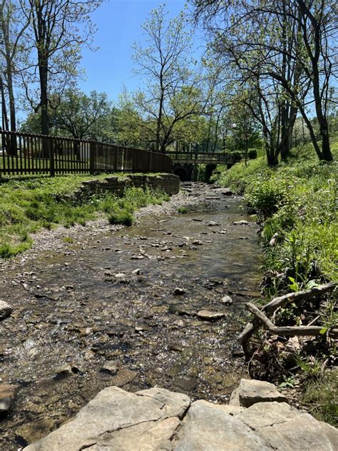 Top Spots To Go Creeking In Cincinnati A Creek Week Adventure