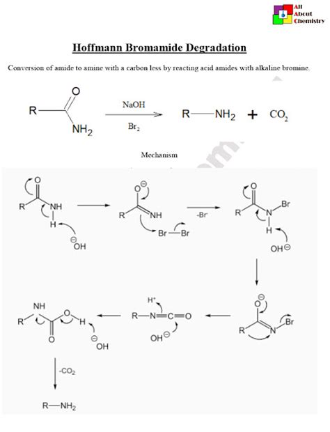 Hoffmann Bromamide Degradation All About Chemistry