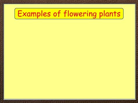 Igcse Biology Section 1 Lesson 2 By Hina Imran Jawahir Al Riyadh