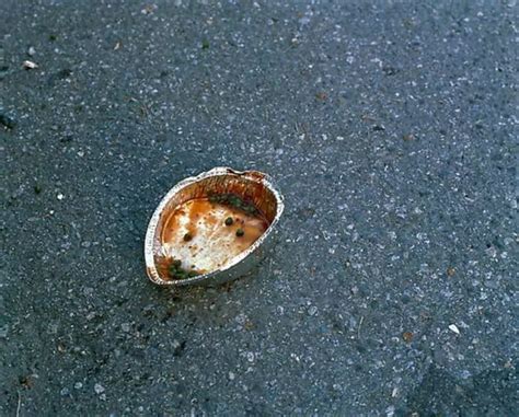 Speciale Jeff Wall Lightboxes Elio Grazioli