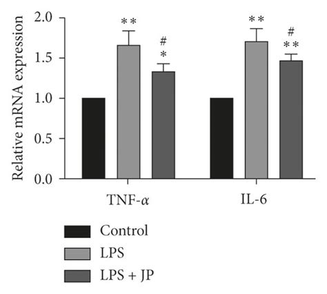 Jp Inhibits The Secretion Of Inflammatory Cytokines In Peritoneal Download Scientific Diagram