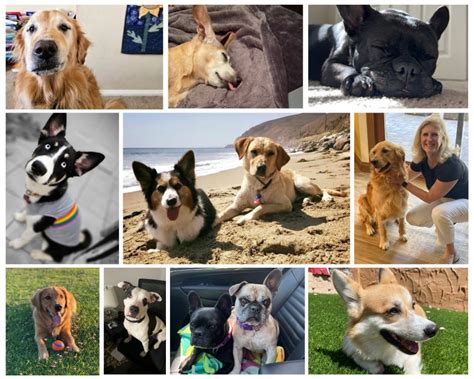 Tyler Ardrey Posted On Linkedin