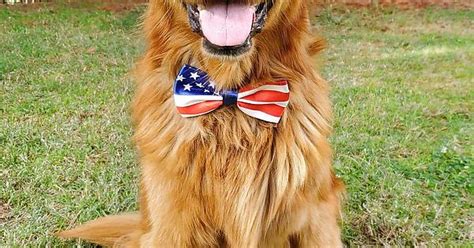 Jed Bartlet Says Okay Whats Next Imgur