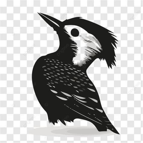 흰색 바탕에 딱따구리 벡터 흰색 배경에 딱따구리의 단순한 검은 아이콘 그림자 없음 작은 프레임 중앙 Png 일러스트 및 벡터 에 대한 무료 다운로드 Pngtree