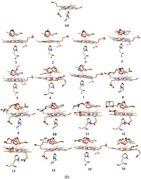 the 2d structure of heme a and the final docking configurations of
