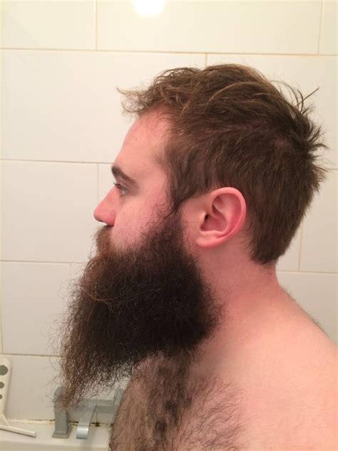 Rip Beard 2015 2016 Album On Imgur
