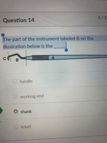 Ip Mod 1 2 3 Flashcards Quizlet