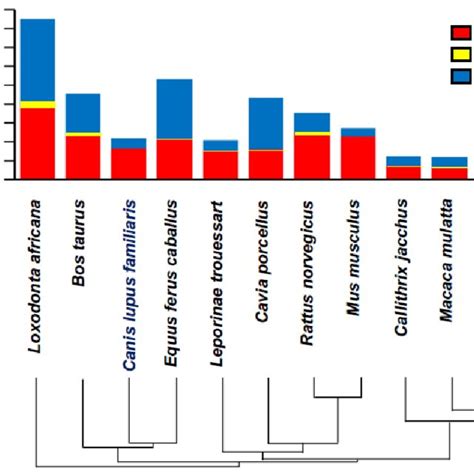 The Number Of Olfactory Receptor Related Genes Given That Olfactory
