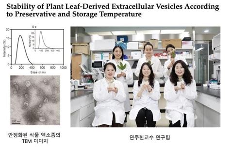 웰에이징엑소바이오 식물유래 엑소좀 안정성 연구논문 발표