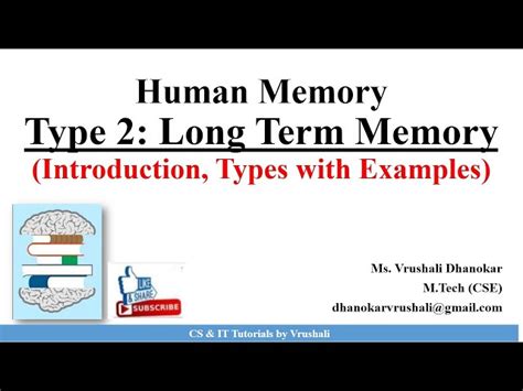 Long Term Memory Examples