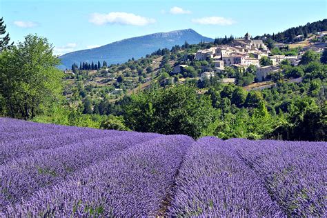 Campos De Lavanda En La Provenza Francesa Un Viaje Para Todos Los Sentidos