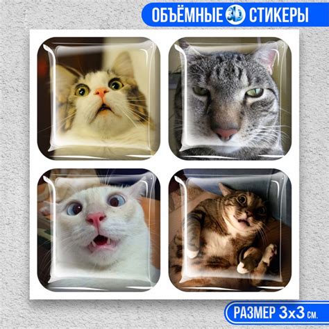 3d наклейка на телефон Набор объемных наклеек 4 шт Котики коты мемы купить с доставкой по