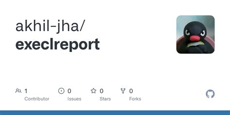Github Akhil Jhaexeclreport