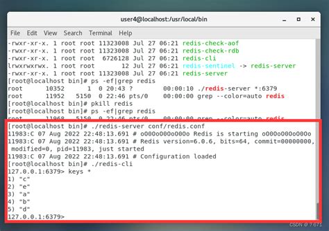 Redis持久化方案rdb详解redis的dumprdb Csdn博客