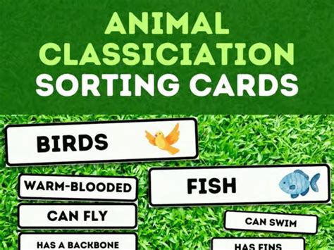 Animal Classification Activity Sorting Cards Teaching Resources