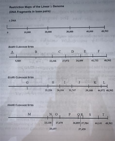 Solved Help I Dont Understand How To Calculate The Size Of Chegg