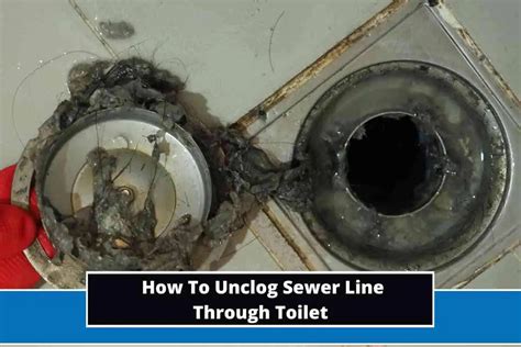 How To Unclog Sewer Line Through Toilet Potent Ways
