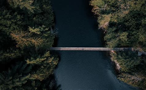 responsive images without css or javascript using the element by alex z javascript in plain