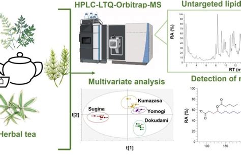 Lipids Identified In Details For The First Time In Herbal Teas