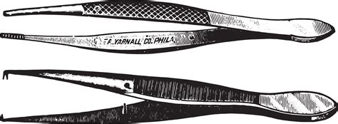 Dissecting Forceps Vintage Engraving 35366350 Vector Art At Vecteezy