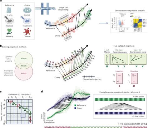 Lloyd Allison On Linkedin Gene Level Alignment Of Single Cell