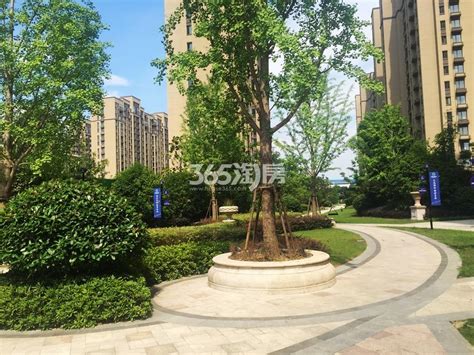 伟星银湖时代楼盘图片芜湖365淘房