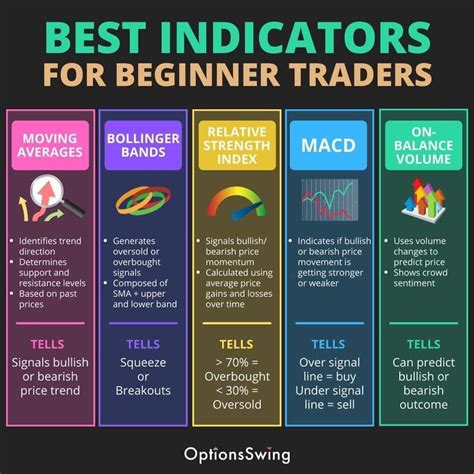 BEGINNER TRADERS Stock Trading Stock Options Trading Forex Trading Quotes