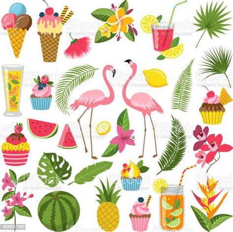 열 대 파티 여름 시간 레이블이 설정합니다 평면 스타일에 다른 아이콘입니다 음료 수 박 레모네이드 플라밍고 여름에 대한 스톡 벡터 아트 및 기타 이미지 Istock