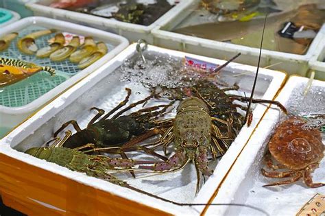 2023湾仔海鲜街攻略珠海湾仔海鲜街美食推荐点评电话地址 【去哪儿攻略】