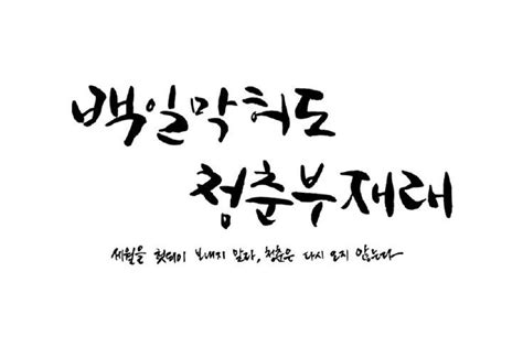 백일막허도 청춘부재래 Arabic Calligraphy Calligraphy