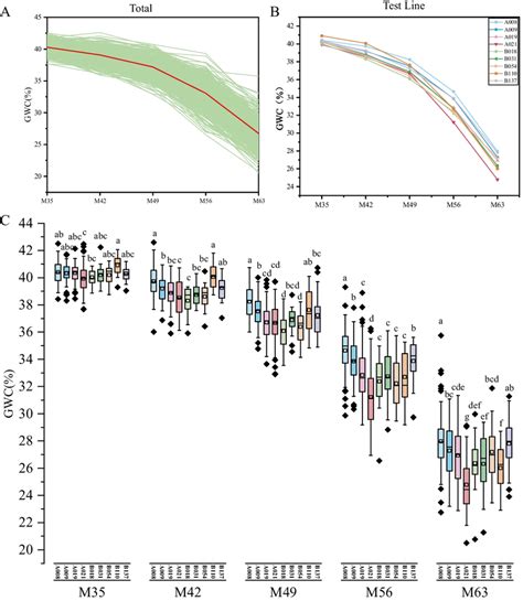 Phenotypic Variation Of GWC In This Hybrid Population A GWC Trend Of Download Scientific