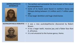 The Origin Of Man And Civilization Pptx