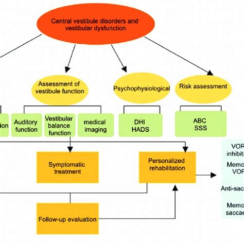 Diagnosis And Treatment Process Of Vestibular Rehabilitation In Central Download Scientific