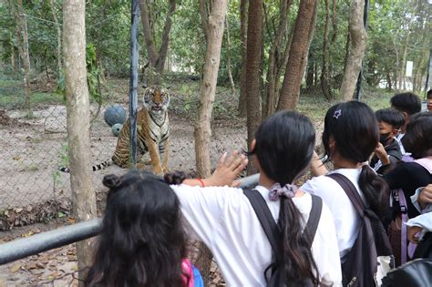 អ្នកនាំពាក្យកសិកម្ម អំពាវនាវពលរដ្ឋទៅទស្សនាសួនសត្វភ្នំតាម៉ៅ ដើម្បីគាំទ្រការងារសង្រ្គោះសត្វព្រៃ