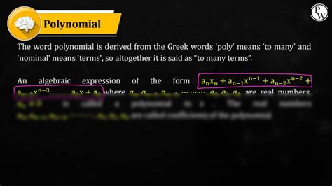 SOLUTION Polynomials Class Notes Mind Map Class Th Studypool