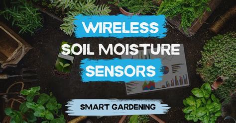 Wireless Soil Moisture Sensors Guide