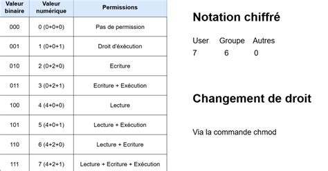 Linux 101 Le Guide Accessible Pour Maîtriser Les Permissions