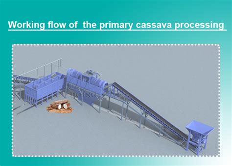 What Is The Primary Processing Of Cassavafaq