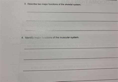 Solved Describe Two Major Functions Of The Skeletal Chegg