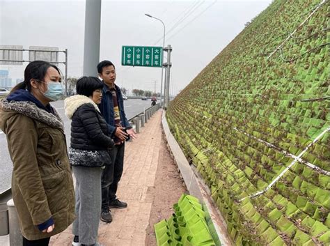 重庆市风景园林科学研究院开展主城区边坡现状调研工作 重庆风景园林网 重庆市风景园林学会