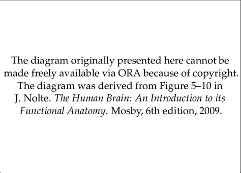 2 Normal CSF Flow Path CSF Is Mainly Produced By The Choroid Plexuses Download Scientific