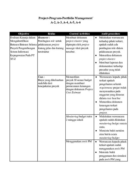 Project Program Portfolio Management Pdfcoffeecom