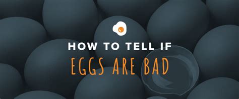 How To Tell If Eggs Are Bad Sauder S Eggs