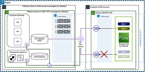Fsx For Ontap Supplemental Nfs Datastores Technical Capabilities And