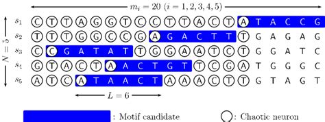 Coding Scheme Of Motif Positions In The Chaotic Motif Sampler A