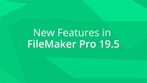 Filemaker 19 5 Explained Direct Impact Solutions