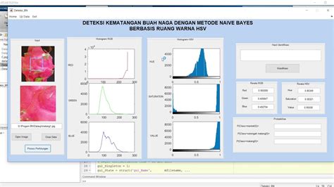 Dragon Fruit Maturity Detection Based Hsv Space Color Using Naive Bayes Classifier Method Youtube