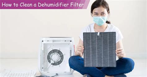 How To Clean A Dehumidifier Filter A Step By Step Guide The Trendian